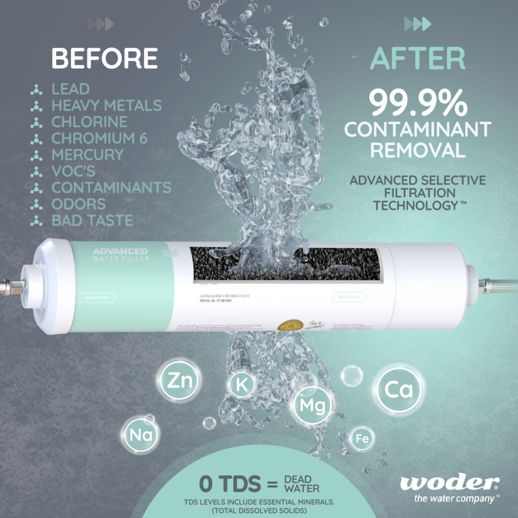 Woder One-Piece Water Filter w. DC (New WD-10K-DC) - Woder